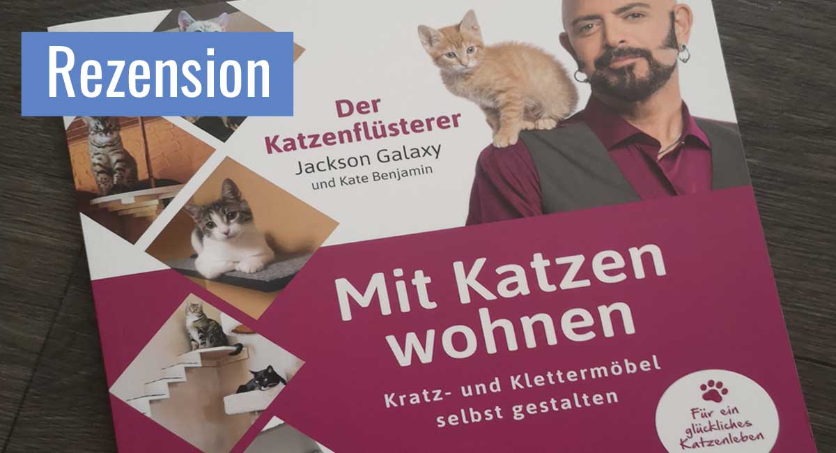 Rezension zum Buch "Mit Katzen wohnen" von Jackson Galaxy und Kate ...